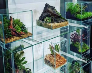 What Is Float Glass Used For? Key Applications And Benefits - Hexad Glass